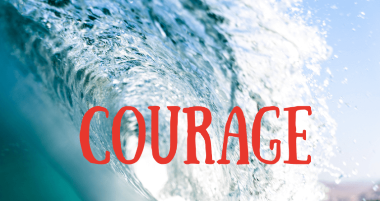 Duplify Business Process